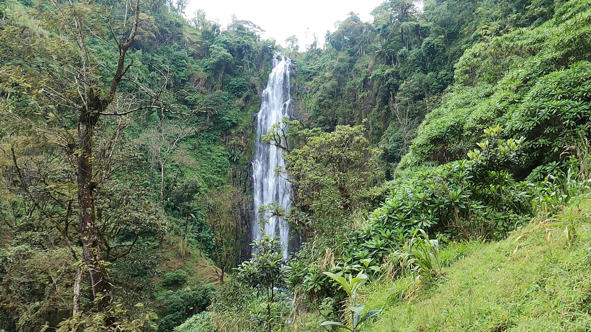 Day trip to Materuni waterfall and coffee plantation - Malaika Travel