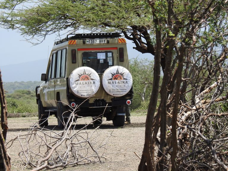 Malaika Travel - Safaris in Tanzania